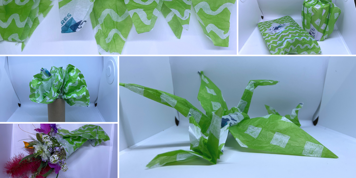 5 ways to reuse your toilet paper wrapping at home | Squares to Spare