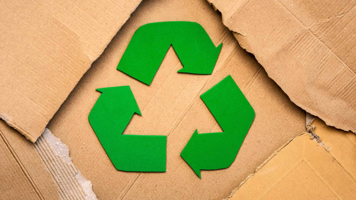 Why should you choose recycled paper? | Squares to Spare